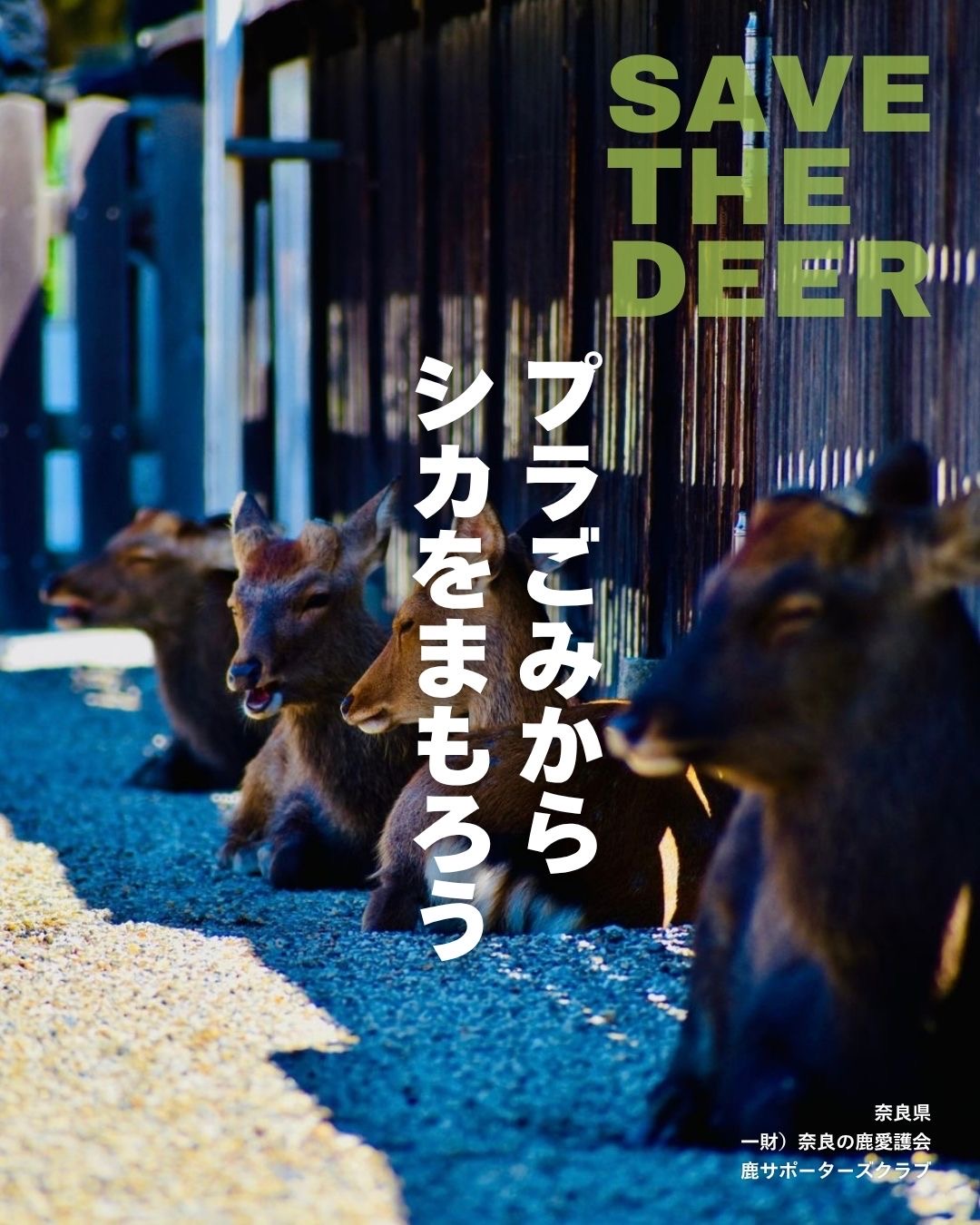 \SAVE THE DEER／〜プラごみからシカをまもろう②〜 – 一般財団法人奈良の鹿愛護会ブログ｜イベント情報と日々のこと