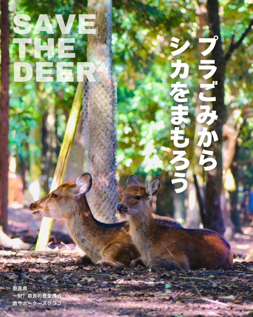 \SAVE THE DEER／〜プラごみからシカをまもろう⑥〜 – 一般財団法人奈良の鹿愛護会ブログ｜イベント情報と日々のこと