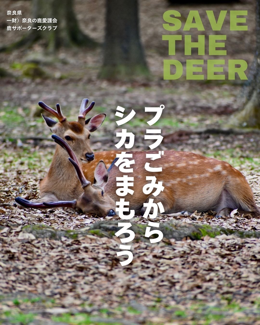 \SAVE THE DEER／〜プラごみからシカをまもろう〜 – 一般財団法人奈良の鹿愛護会ブログ｜イベント情報と日々のこと